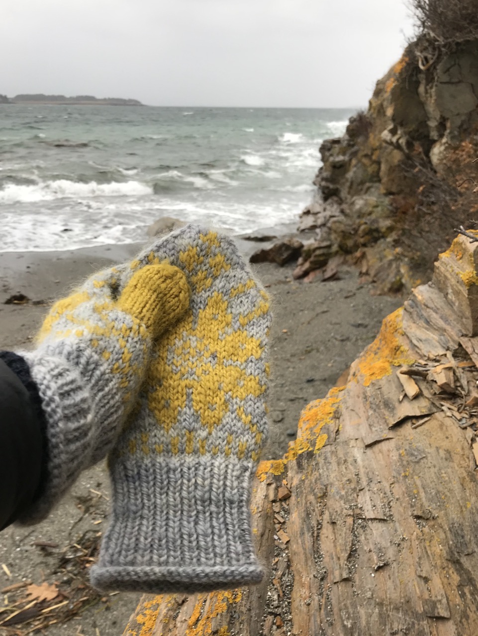 What’s New! - Mary Jane Mucklestone